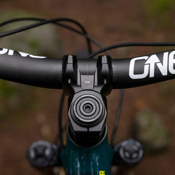 Stem